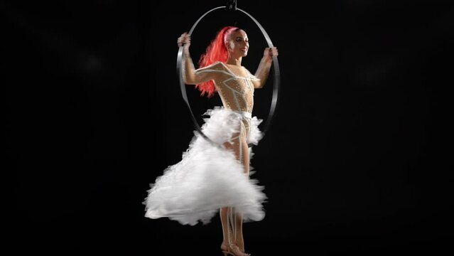 "Aerial Acrobat" Images – Browse 382 Stock Photos, Vectors, and Video | Adobe Stock