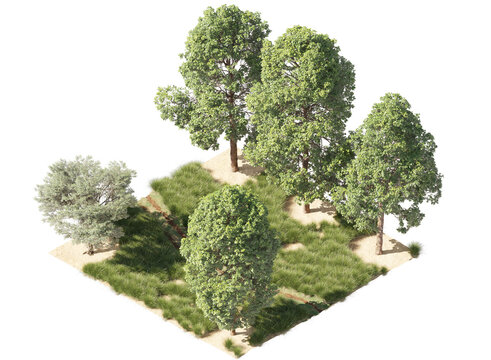 "Isometric Tree" - Images et vidéos libres de droits | Adobe Stock