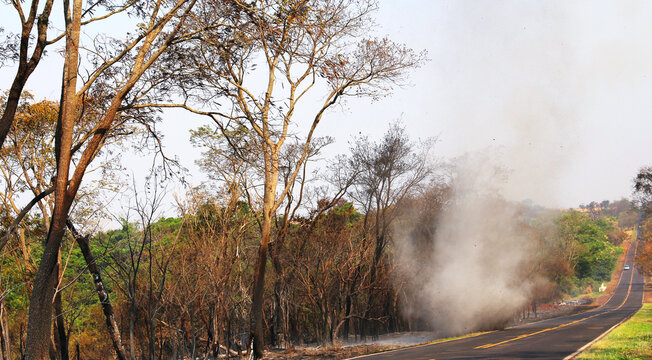 Smokw Bilder – Durchsuchen 17 Archivfotos, Vektorgrafiken und Videos ...