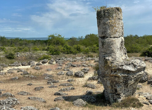「Kamani」の画像 - 1,475 件の Stock 写真、ベクターおよびビデオ | Adobe Stock