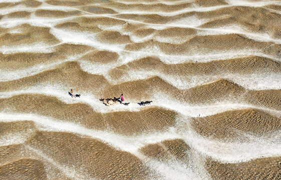 Sandbar Bilder – Durchsuchen 113,596 Archivfotos, Vektorgrafiken und ...