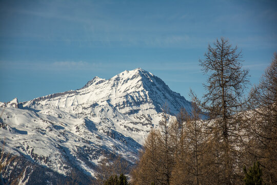 Visp Bilder – Durchsuchen 1,475 Archivfotos, Vektorgrafiken und Videos ...