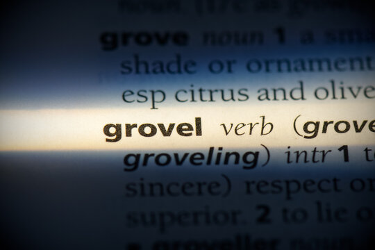 Grovel Images – Browse 13,235 Stock Photos, Vectors, and Video | Adobe ...