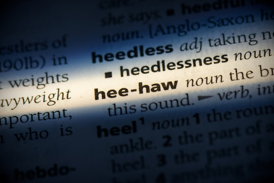 Hee-Haw Images – Browse 1,568 Stock Photos, Vectors, and Video | Adobe ...