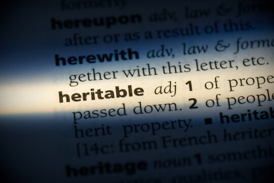 「Heritable」の写真素材 | 1,068件の無料イラスト画像 | Adobe Stock