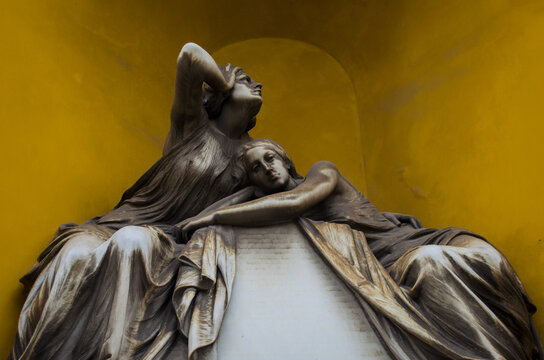 Disperate Images – Browse 9 Stock Photos, Vectors, and Video | Adobe Stock