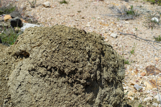 Fragmentation Images – Browse 12,855 Stock Photos, Vectors, and Video ...