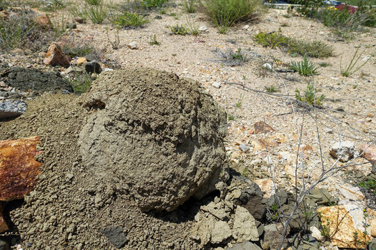 Fragmentation Images – Browse 12,855 Stock Photos, Vectors, and Video ...