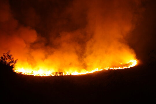 Brandrodung Bilder – Durchsuchen 2,380 Archivfotos, Vektorgrafiken und ...