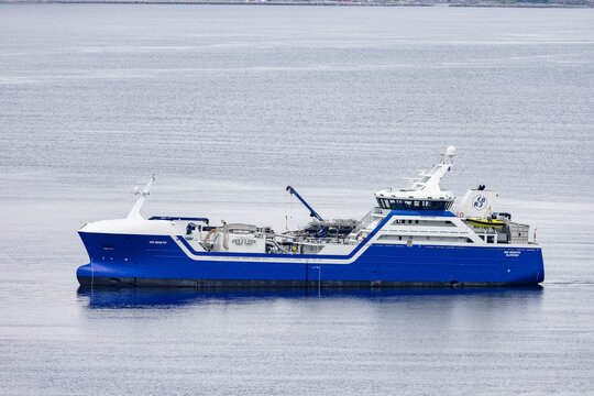 「Rostein」の写真素材 | 5件の無料イラスト画像 | Adobe Stock