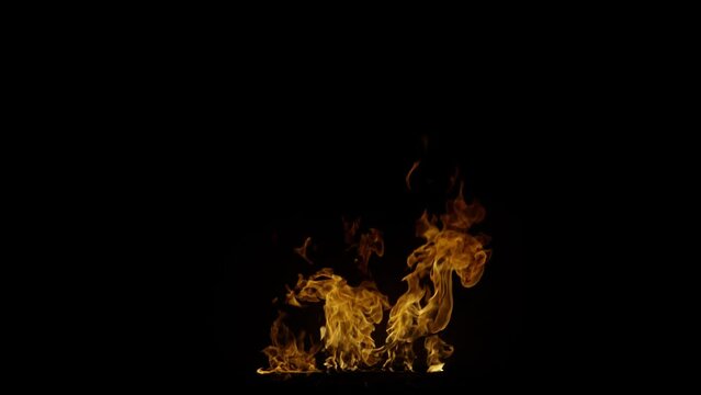 Prerender Imagens – Procure 1,903 fotos, vetores e vídeos | Adobe Stock