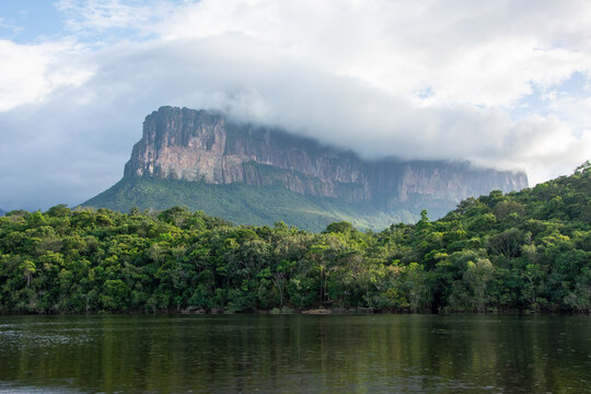 Auyantepui Bilder – Durchsuchen 539 Archivfotos, Vektorgrafiken und ...