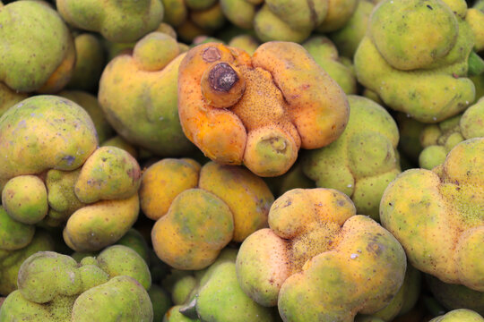 Barhar Images – Browse 51 Stock Photos, Vectors, and Video | Adobe Stock