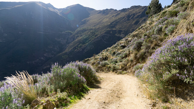 Trocha Images – Browse 76 Stock Photos, Vectors, and Video | Adobe Stock