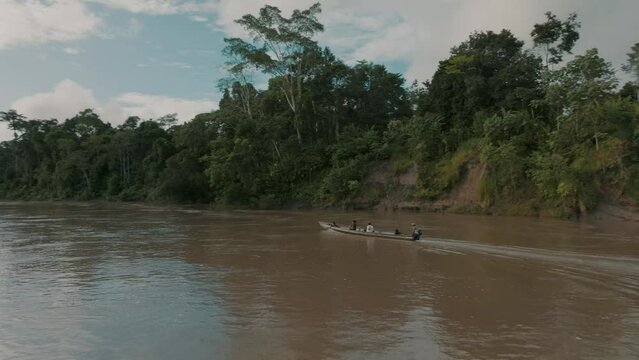 Javari Images – Browse 203 Stock Photos, Vectors, and Video | Adobe Stock