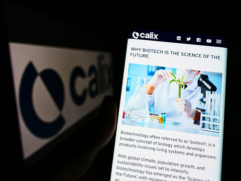 Imagens de Calix – Explore Fotografias do Stock, Vetores e Vídeos de ...