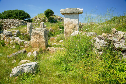 รูปภาพTorreta – เลือกดูภาพถ่ายสต็อก เวกเตอร์ และวิดีโอ777 | Adobe Stock