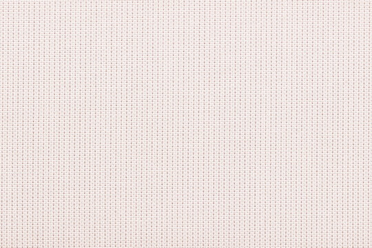 Ruffage Images – Browse 138,636 Stock Photos, Vectors, and Video ...