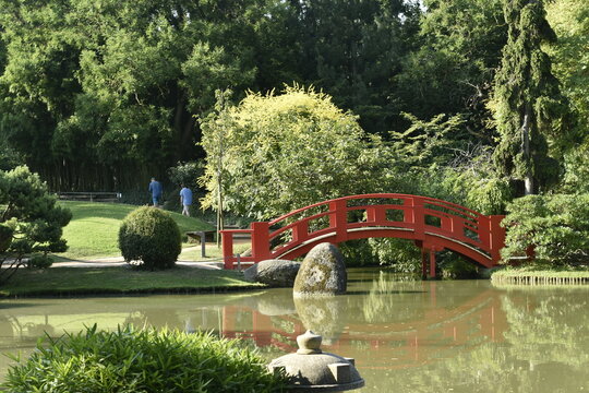 Teien Bilder – Durchsuchen 358 Archivfotos, Vektorgrafiken und Videos ...