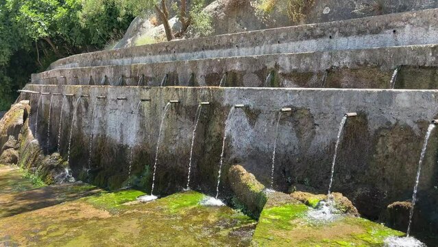 รูปภาพTrabuco – เลือกดูภาพถ่ายสต็อก เวกเตอร์ และวิดีโอ123 | Adobe Stock