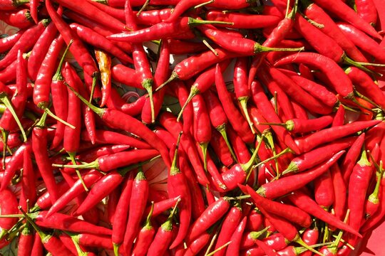 Chilly Images – Browse 1,171,682 Stock Photos, Vectors, and Video ...