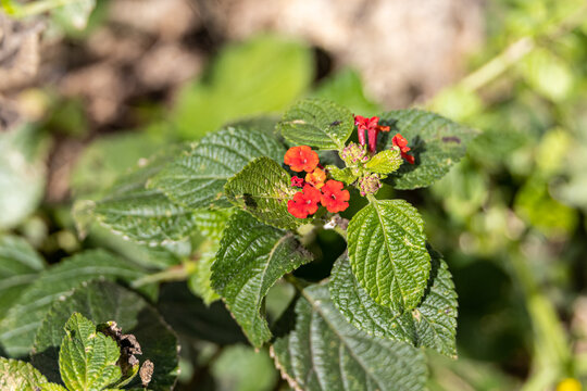 Tickberry Images – Browse 509 Stock Photos, Vectors, and Video | Adobe ...