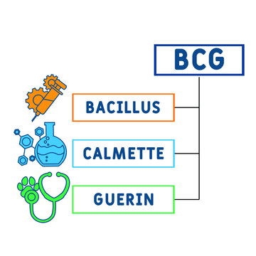 Bcg Images – Browse 914 Stock Photos, Vectors, and Video | Adobe Stock