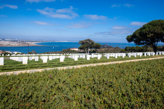 รูปภาพ"Fort Rosecrans" – เลือกดูภาพถ่ายสต็อก เวกเตอร์ และวิดีโอ232 ...