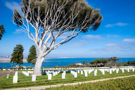 "Fort Rosecrans"-Bilder: Stock-Fotos & -Videos. | Adobe Stock