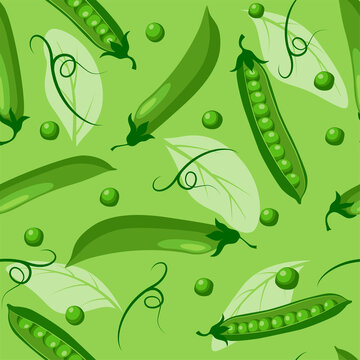 "Pea Background" Images – Browse 99 Stock Photos, Vectors, and Video ...
