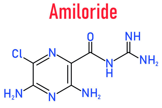 Amiloride bilder – Bläddra bland 45 stockfoton, vektorer och videor ...