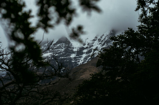 Imágenes de Fores: descubre bancos de fotos, ilustraciones, vectores y ...