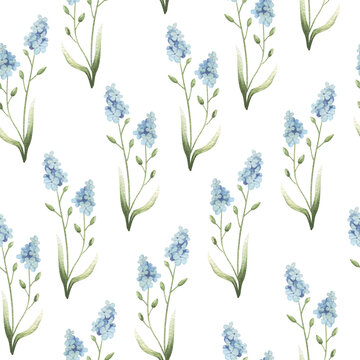 Forget-Me-Not Branch Images – Browse 6,039 Stock Photos, Vectors, and ...