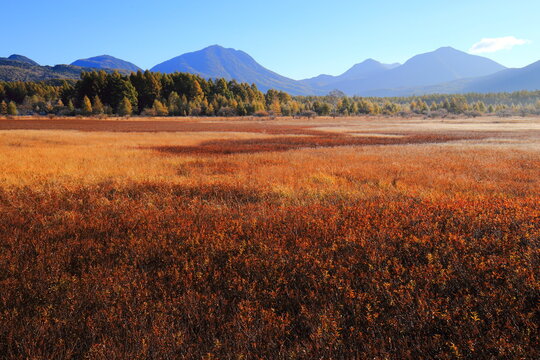 Imágenes de Yama: descubre bancos de fotos, ilustraciones, vectores y ...