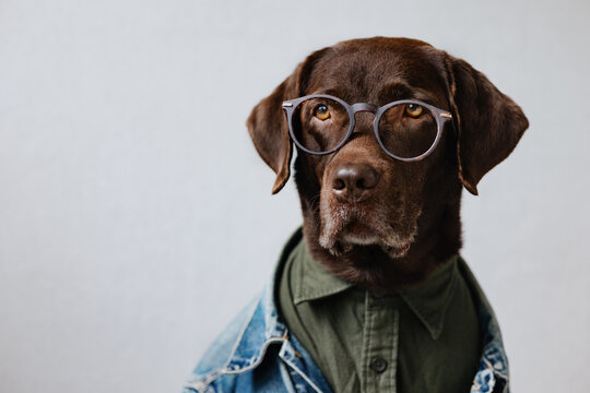 Rob Images – Browse 2,424,977 Stock Photos, Vectors, and Video | Adobe ...