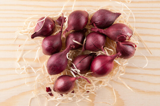 Edelzwiebel bilder – Bläddra bland 226 stockfoton, vektorer och videor ...