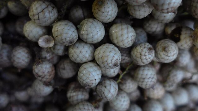 Vetra Images – Browse 40 Stock Photos, Vectors, and Video | Adobe Stock