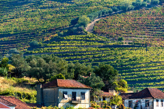 Regua Bilder – Durchsuchen 1,052 Archivfotos, Vektorgrafiken und Videos ...