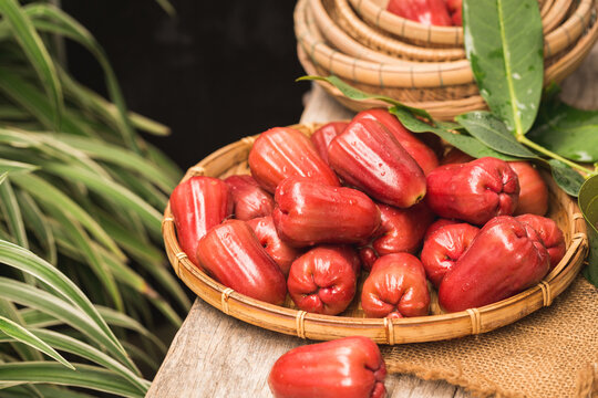 「Jamalac」の画像 - 2,173 件の Stock 写真、ベクターおよびビデオ | Adobe Stock