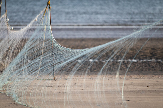 「Ebbs」の画像 - 46,741 件の Stock 写真、ベクターおよびビデオ | Adobe Stock