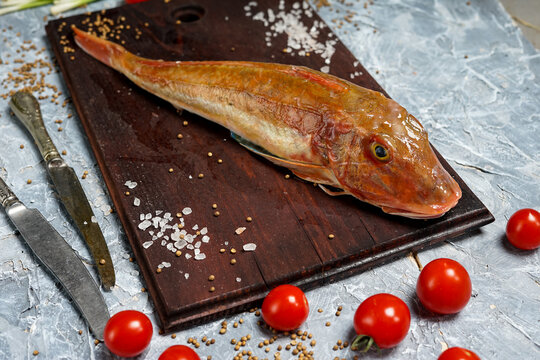 Imágenes de Bullfish: descubre bancos de fotos, ilustraciones, vectores ...