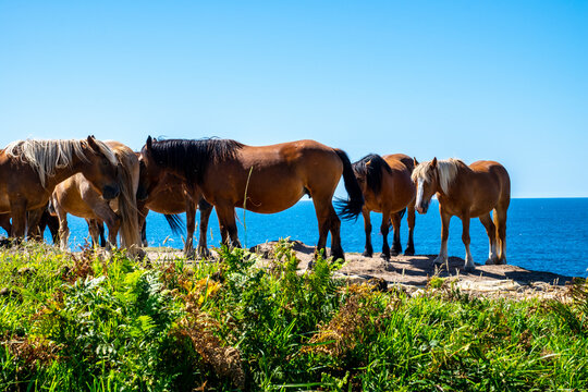 Chevalin Bilder – Durchsuchen 6,642 Archivfotos, Vektorgrafiken und ...