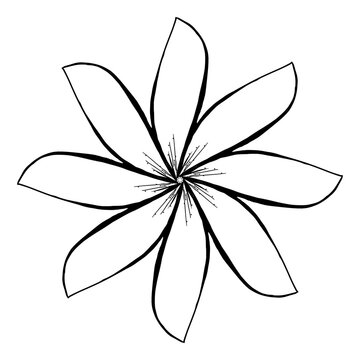 Single Flower Drawing Images – Browse 317,986 Stock Photos, Vectors ...
