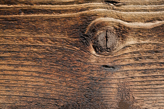 "Wood Veins"-Bilder: Stock-Fotos & -Videos. | Adobe Stock