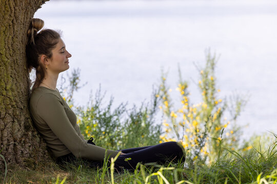 Silence Nature Images – Browse 6,331,741 Stock Photos, Vectors, and ...