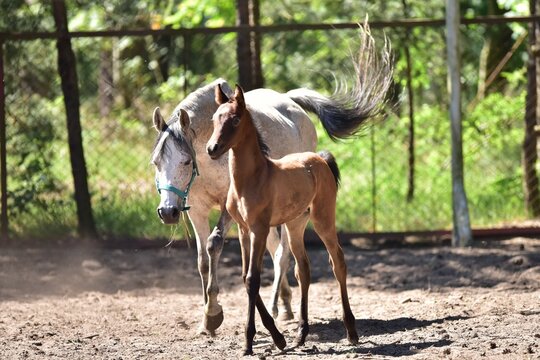 Lejce Images – Browse 41 Stock Photos, Vectors, and Video | Adobe Stock