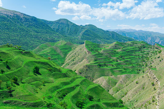 Terracing Images – Browse 948,594 Stock Photos, Vectors, and Video ...