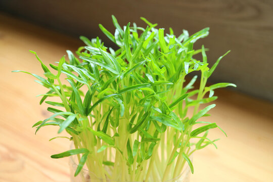"Chinese Watercress" Images – Browse 81 Stock Photos, Vectors, and ...