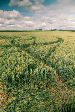 Alien Crop Circles Images – Browse 2,377 Stock Photos, Vectors, and ...