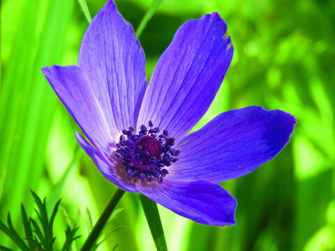 Kalanit Images – Browse 59 Stock Photos, Vectors, and Video | Adobe Stock